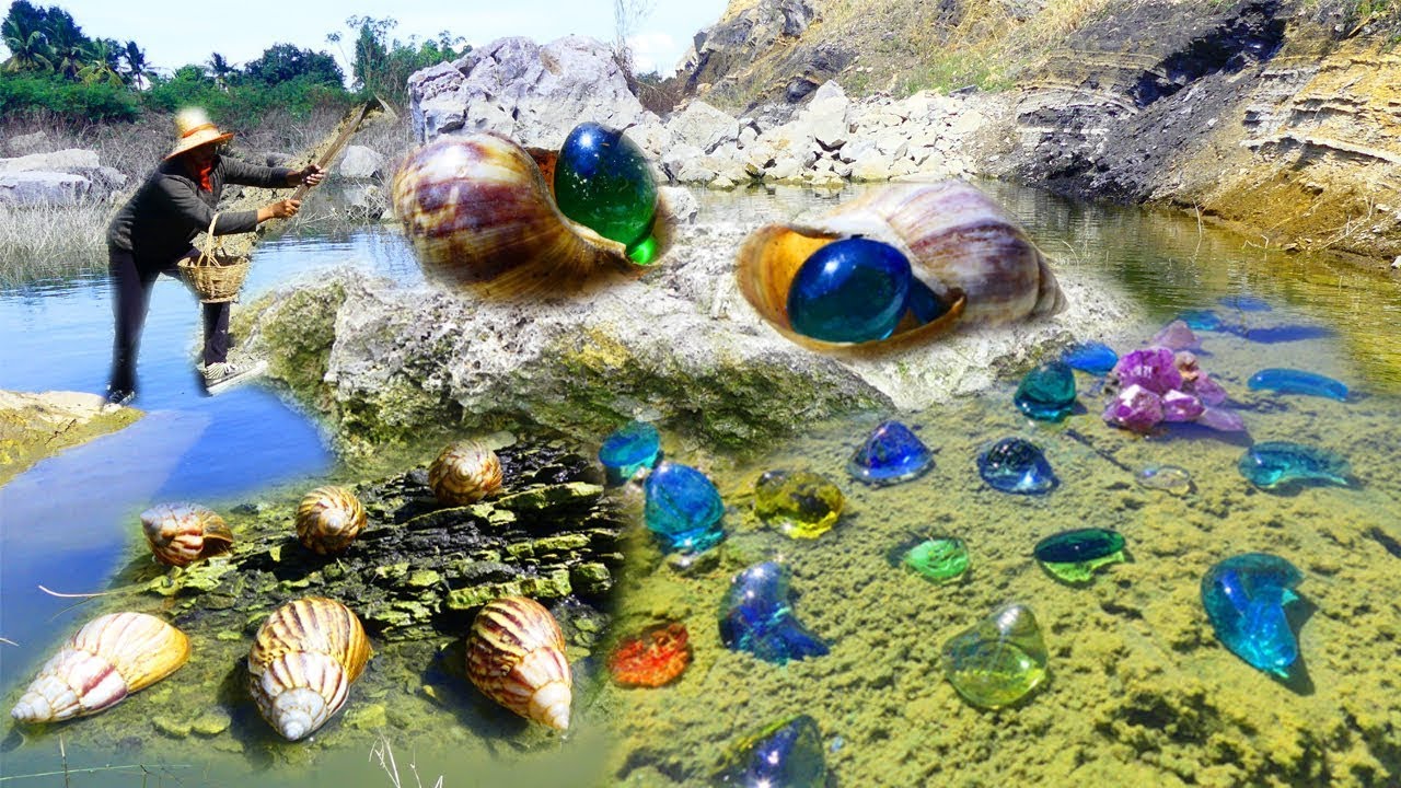 When I caught snail , I found gems & crystal stone strewn across the ...