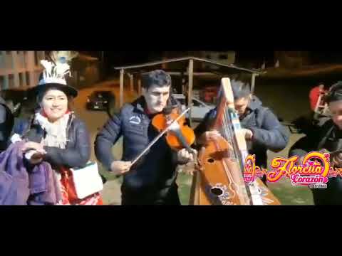 HUAYNITO ARPA Y VIOLIN/ Florcita Corazón de Apurímac / Hermanos Pérez - YouTube
