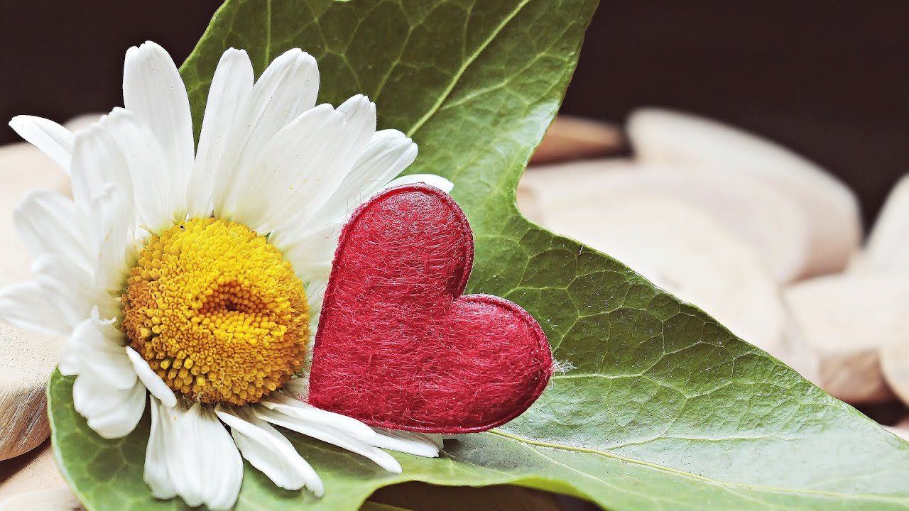 Szeparációban vagyunk - Akar még engem?🙈Ikerláng kapcsolat - YouTube