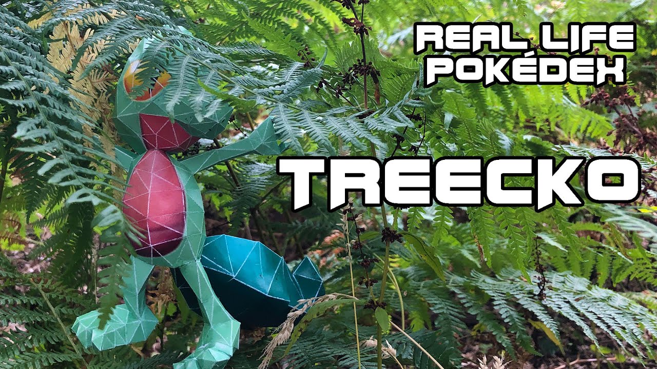 Real Life Treecko