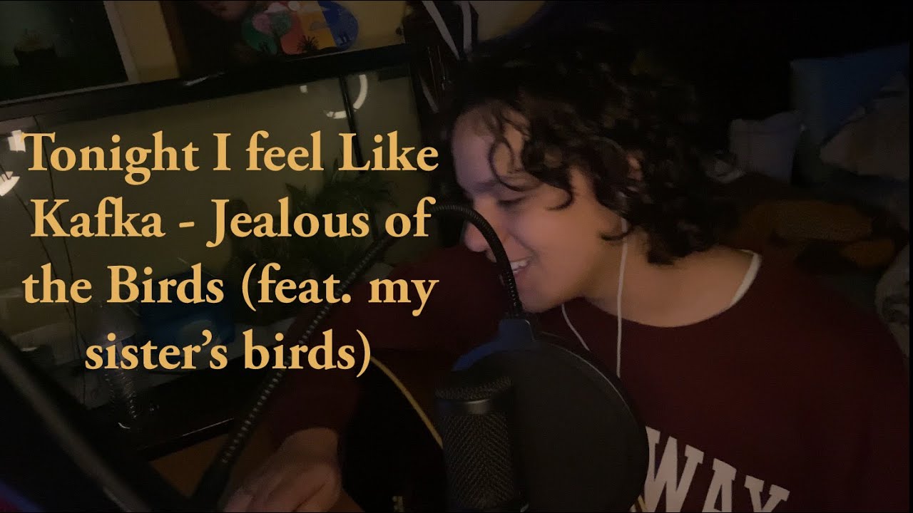 Tonight I Feel Like Kafka - Jealous of the Birds (Cover) - YouTube