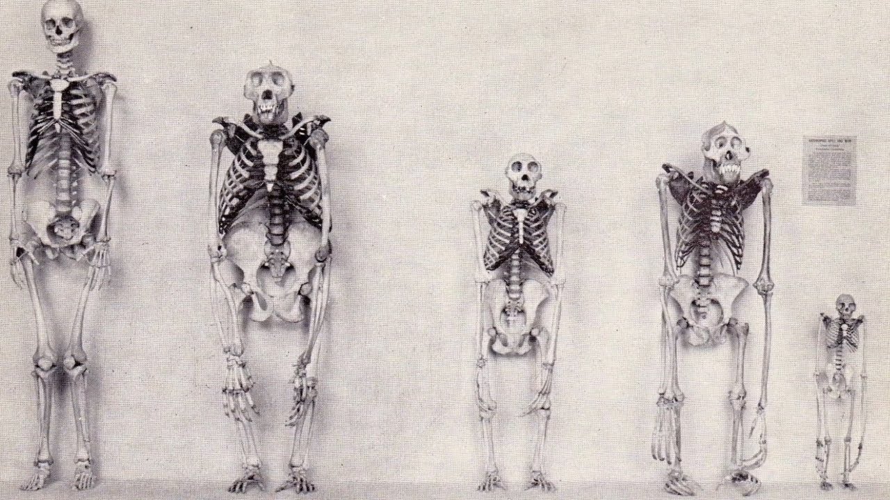 Secrets Unveiled: World Changing Discoveries in the Spotlight! - YouTube