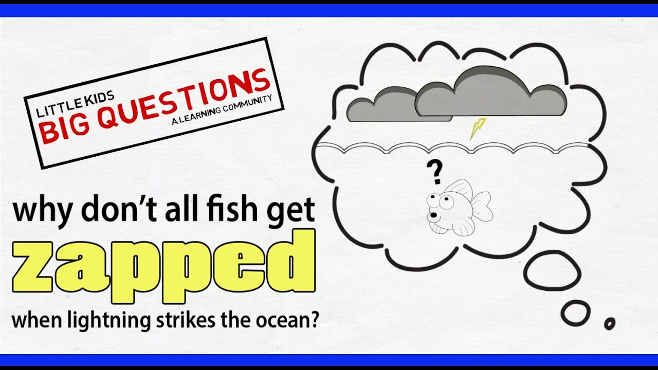 Why Don't All Fish Get Zapped When Lightning Strikes the Ocean - YouTube