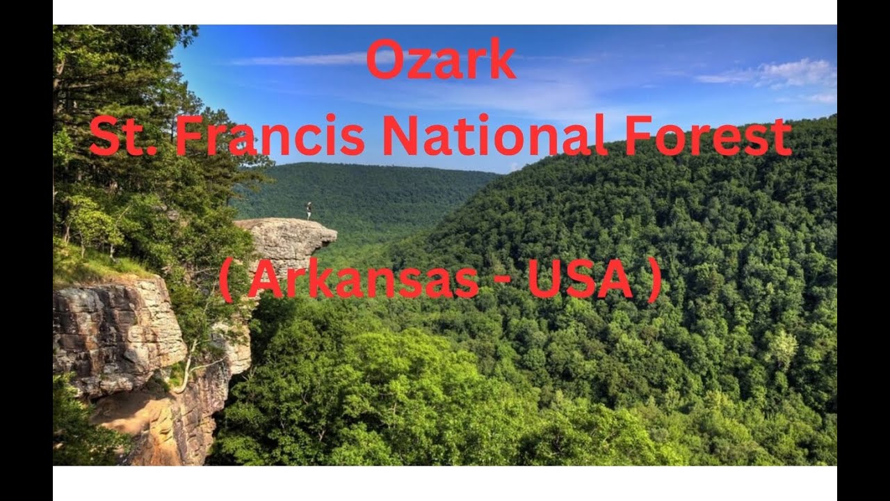 Ozark St Francis National Forest (Arkansas - USA) - YouTube