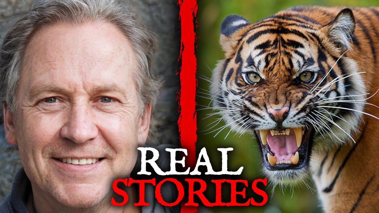 5 Most BRUTAL Tiger Attack Stories of The Year - YouTube