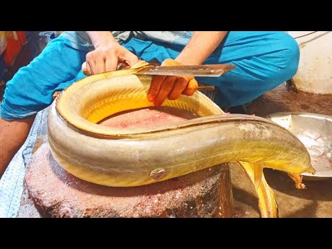Amazing Giant Eel Fish Cutting Live In Bangladesh Fish Marke - YouTube
