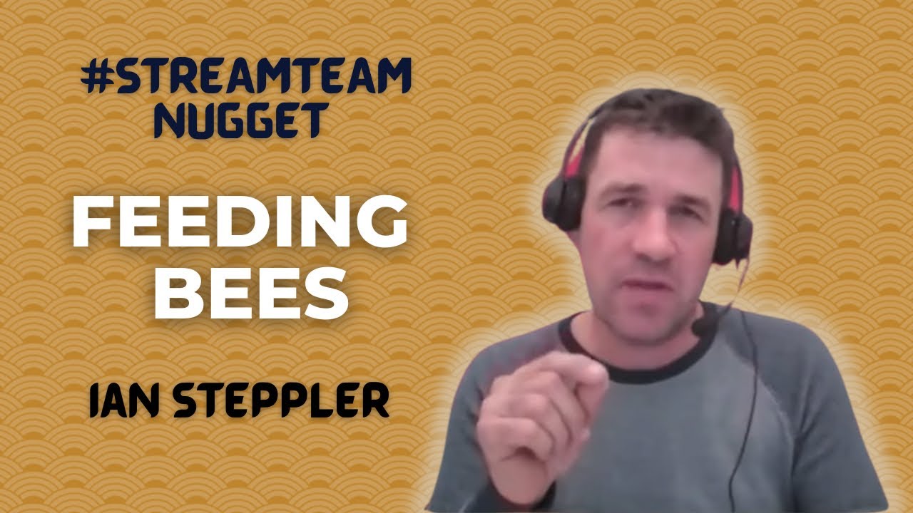IAN STEPPLER - FEEDING BEES | Stream Team Nugget - YouTube
