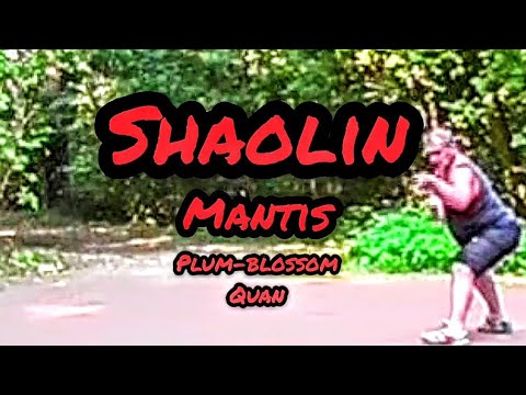 Shaolin Form Mantis-1 Motivation No Copyright Musik - YouTube