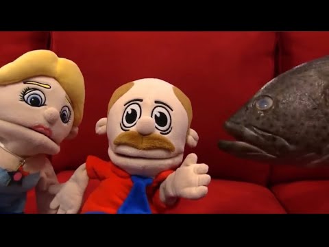 Help me find my son nemo#sml - YouTube