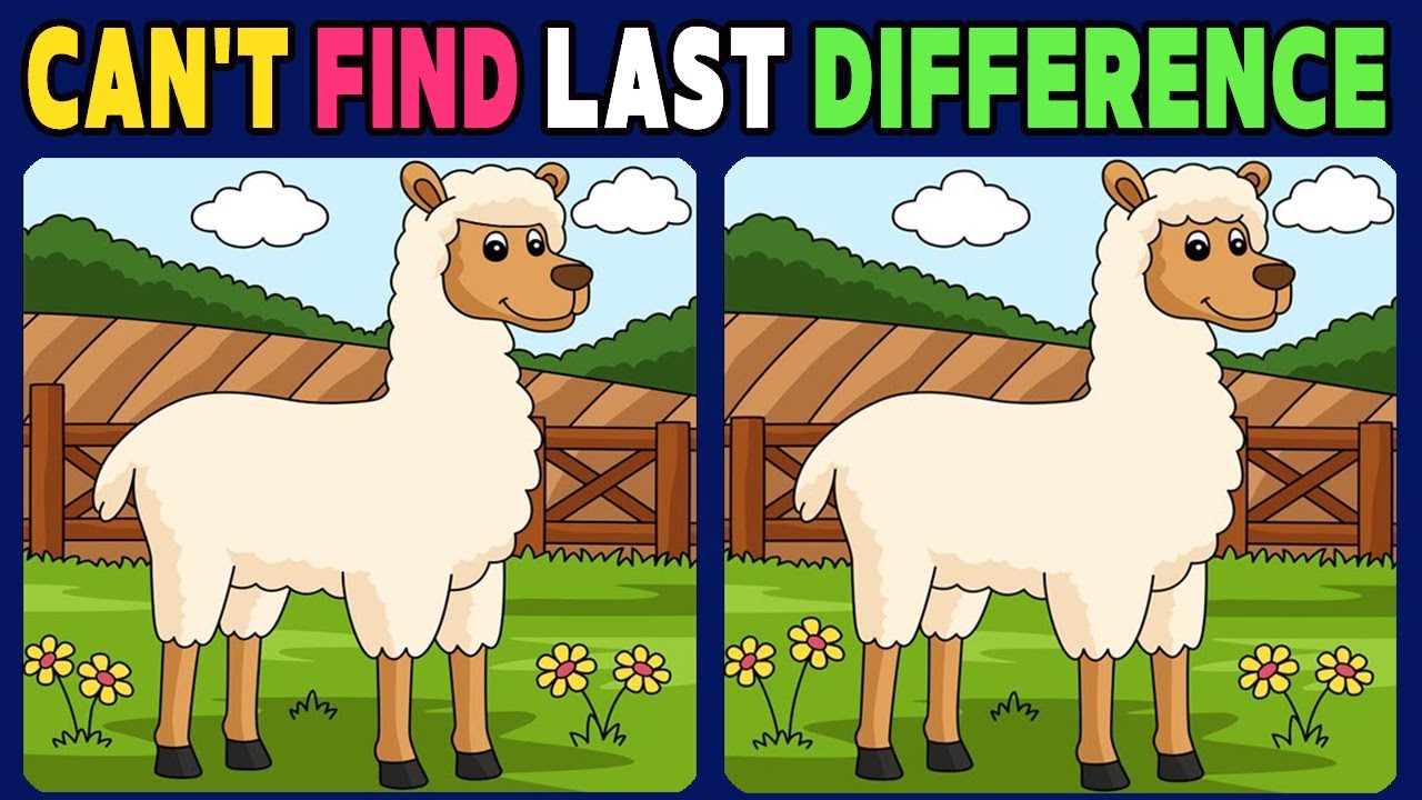 Find the Difference: Do You See Any Difference?【Spot the Difference ...
