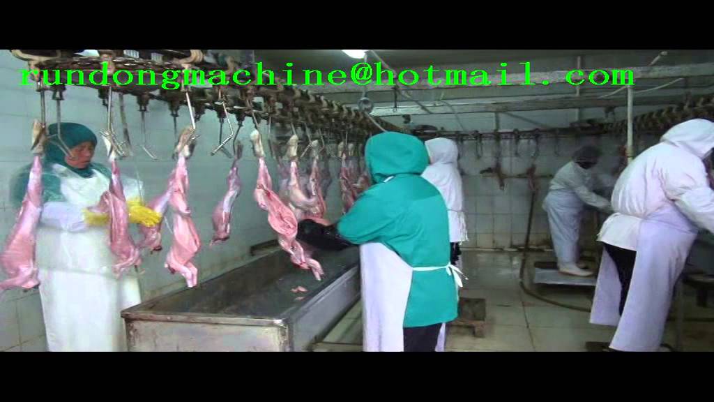 rabbit slaughtering process by Rundong machinery - YouTube