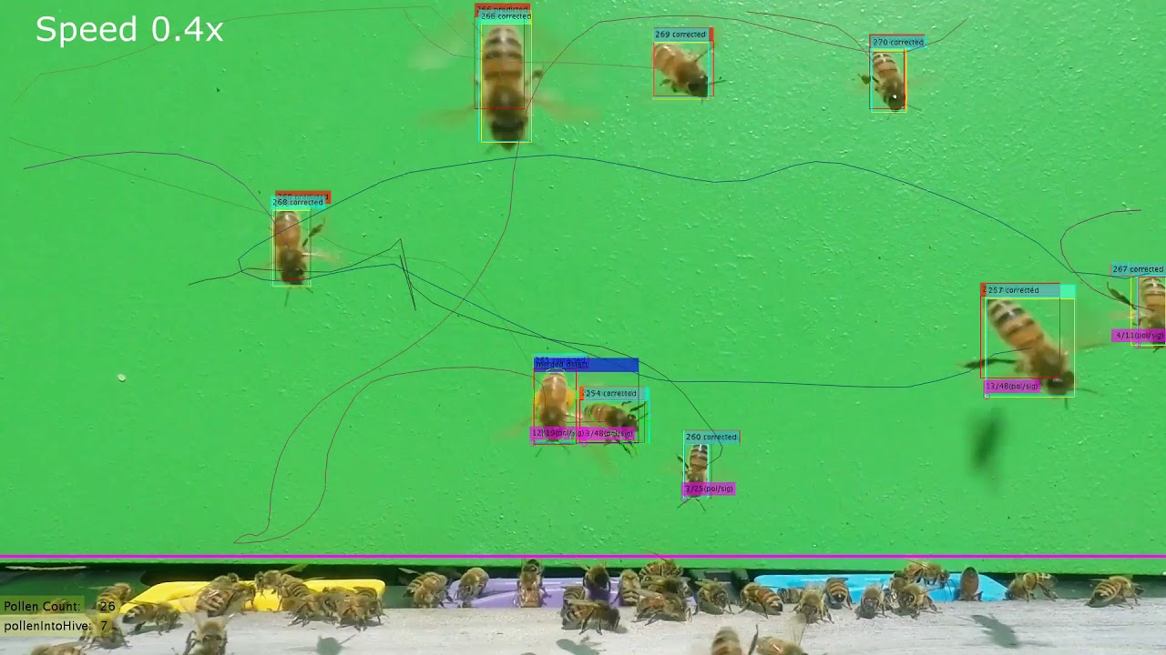 Pollen detection using machine vision - YouTube