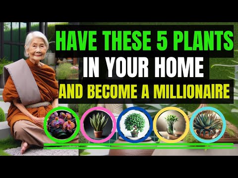 5 Powerful Plants That Will Instantly Attract Wealth to Your Life | Money Abundance Buddhism ...