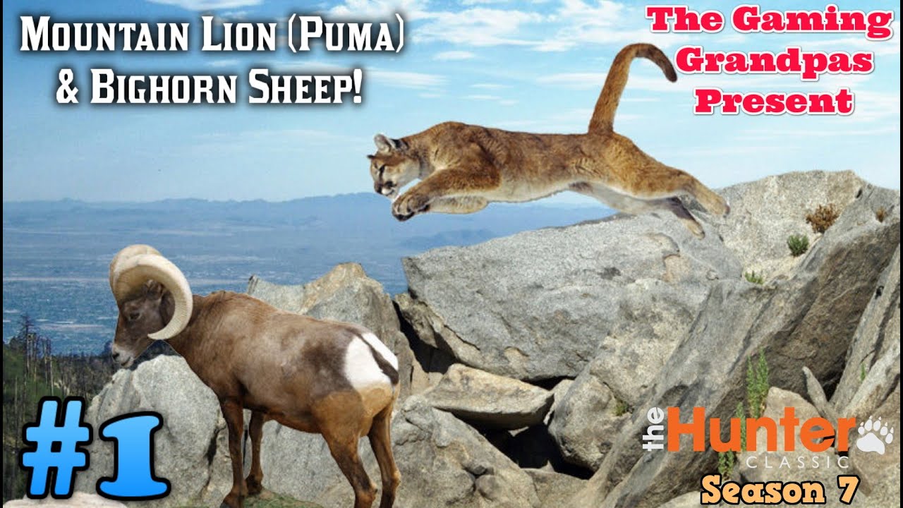 theHunter Classic - Season 7 (2021) - Mountain Lion (Puma) & Bighorn ...