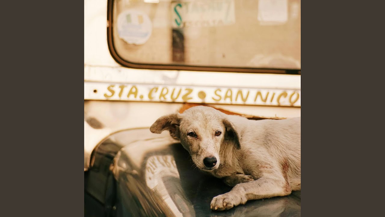 Puddin Pop - YouTube