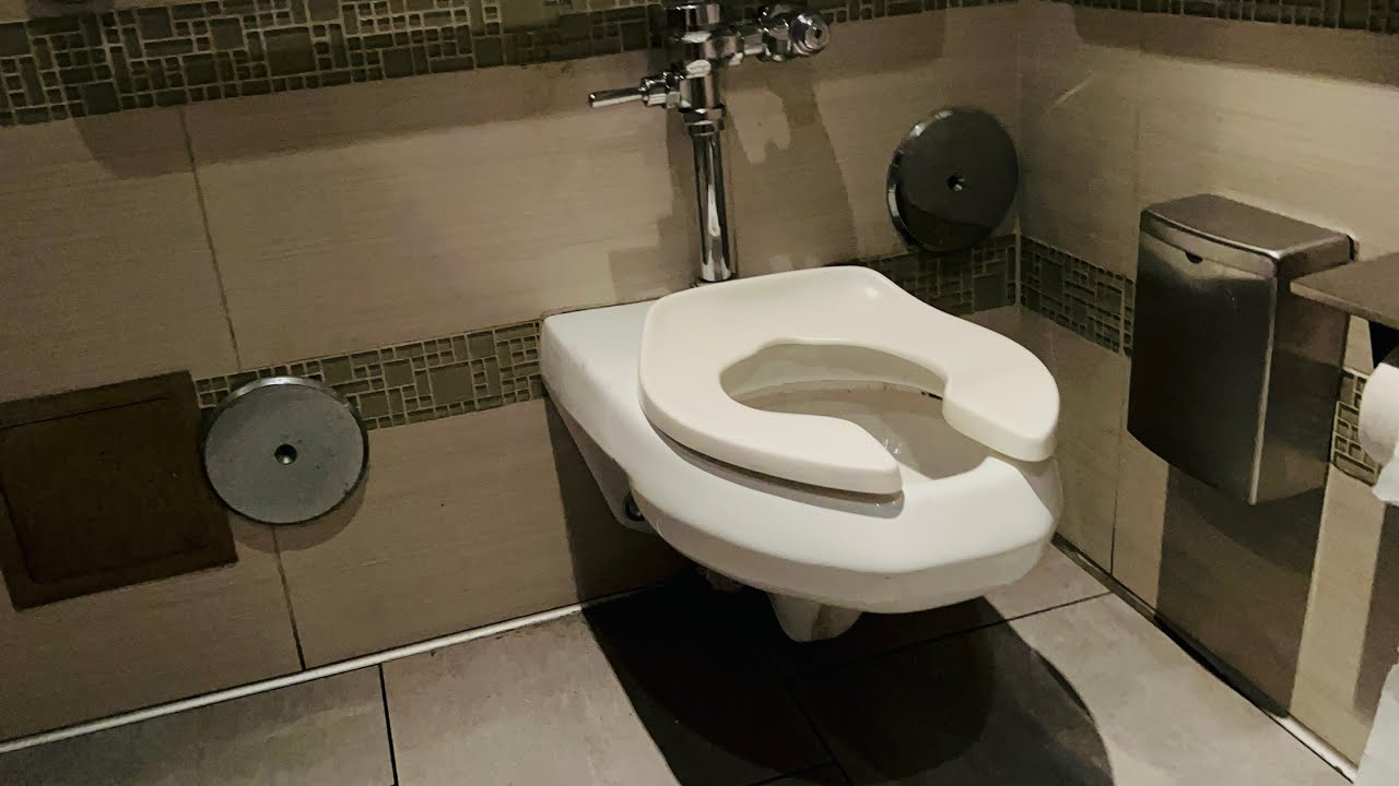 Women’s Kohler Kingston Toilet Flush, Olsonite 95 Seat, XLerator Hand ...