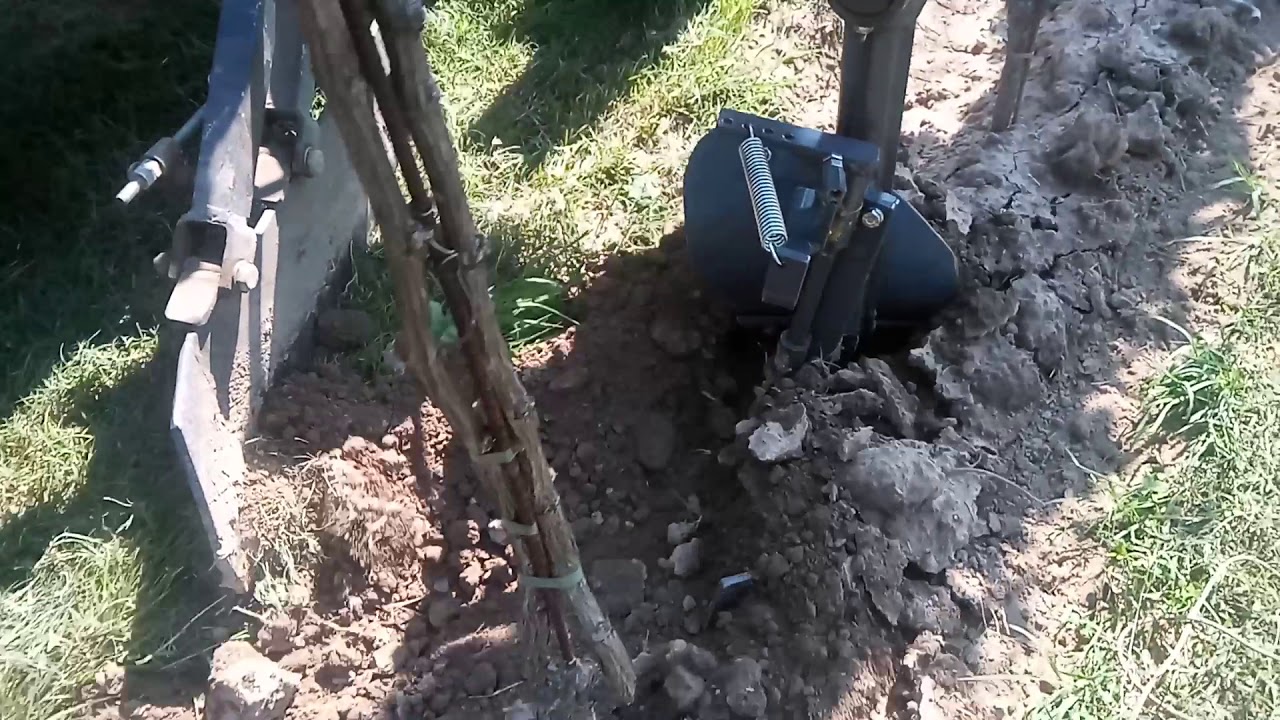 Collaudo apripiante ventrale con pulisciceppo - YouTube