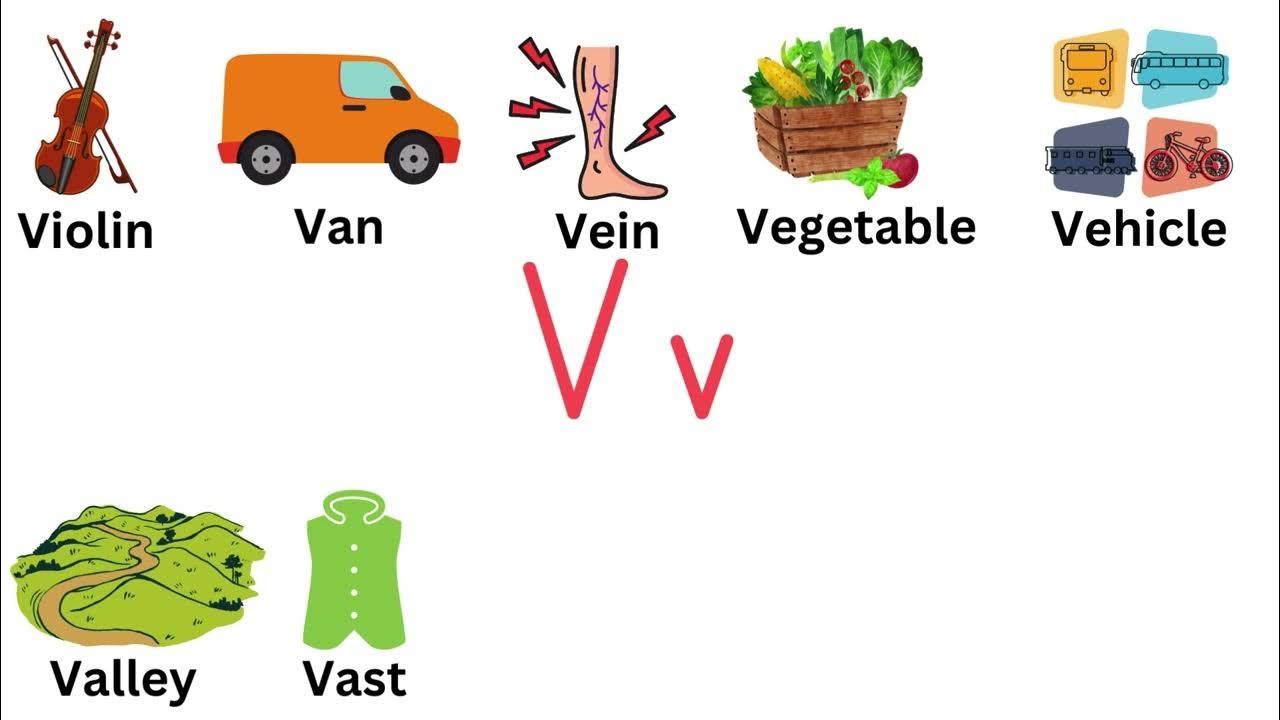 WORDS THAT START WITH Vv | 'V' Words | Phonics | LEARN LETTER Vv ...