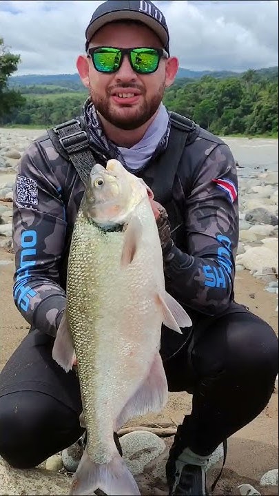 Récord personal Machaca 53cm 2.2kg Costa Rica - YouTube