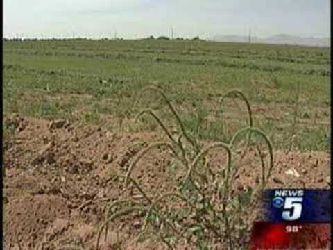 CBS-5 KPHO Phoenix news story on Covance - YouTube
