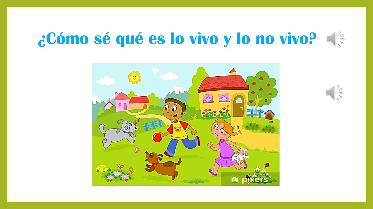 Seres vivos y elementos no vivos - YouTube