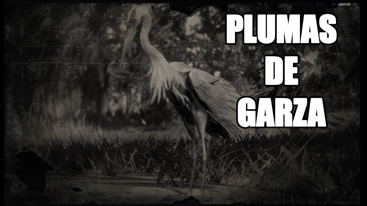 Red Dead Redemption 2 – ¿Cómo conseguir plumas de Garza? (Heron Plumes ...