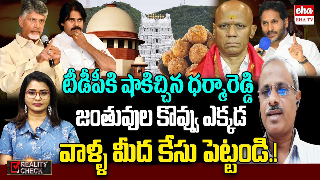 Tirumala Laddu Adulteration Issue | Ex EO Dharma Reddy comments on ...