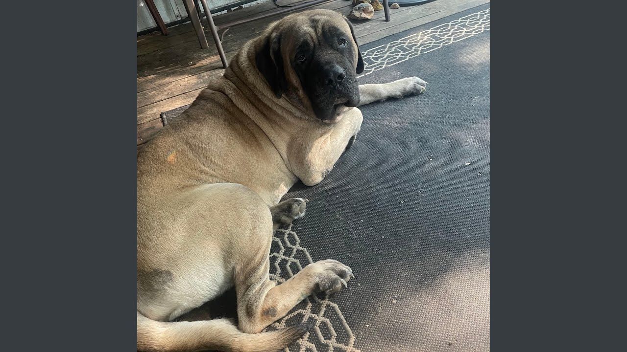 Mask In The Crowd Firer In The Booth With Shizz Boss - YouTube