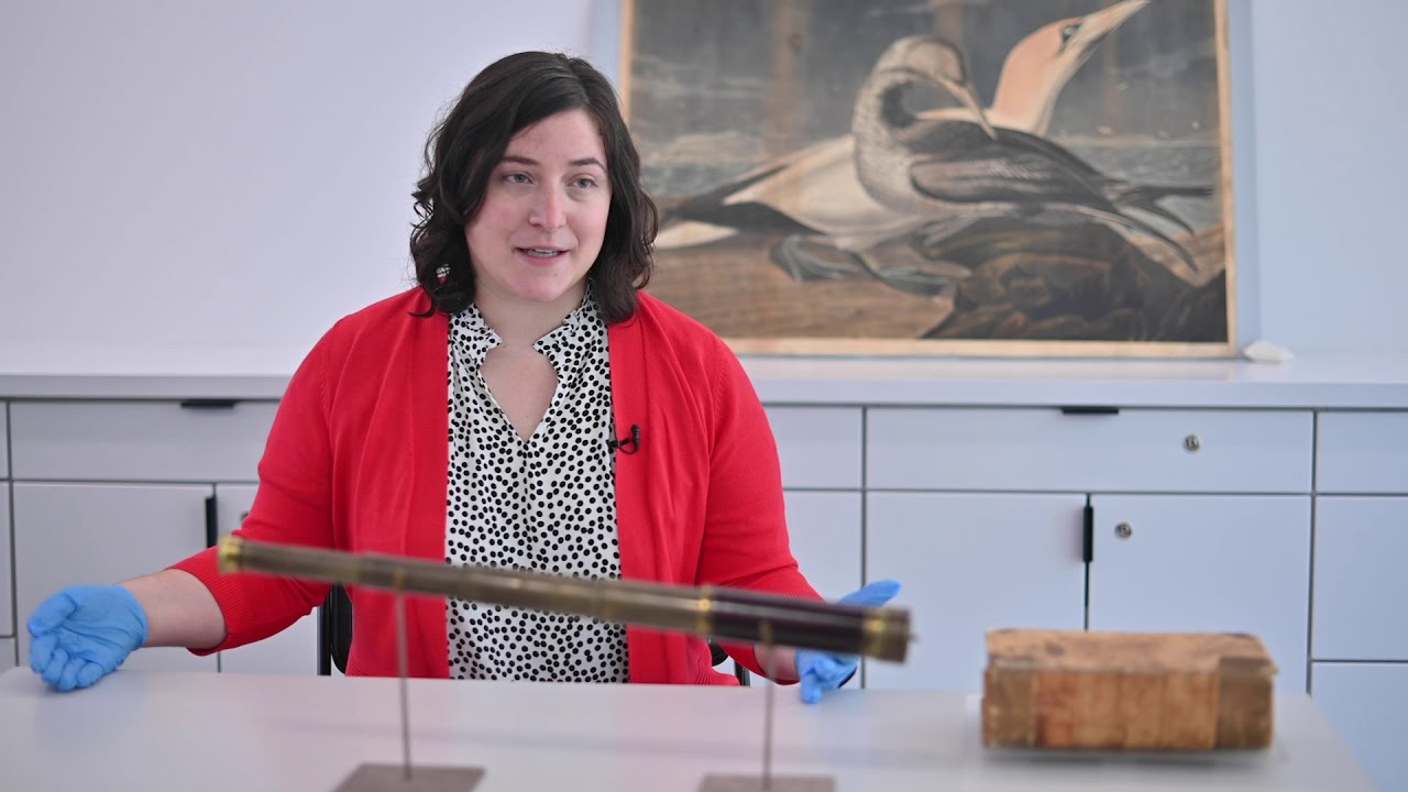 This Habit of Close Observation - YouTube