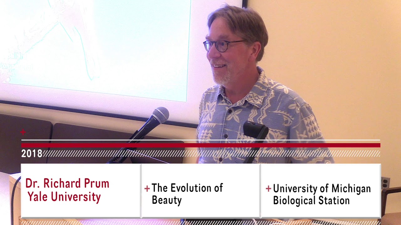 Dr. Richard Prum at UMBS: The Evolution of Beauty - YouTube