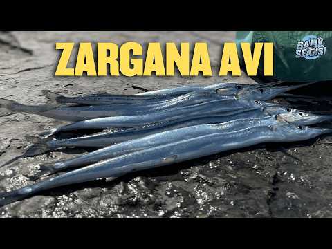 Spin Olta ile Zargana Avı | Zargana Topu ile Avlanma Yöntemi