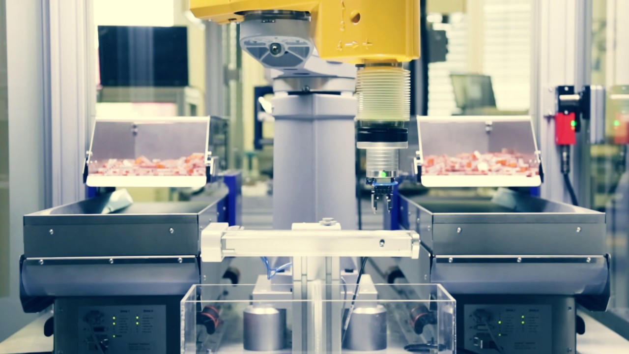 flexfactory – flexible feeders for parts of any shape and size - YouTube