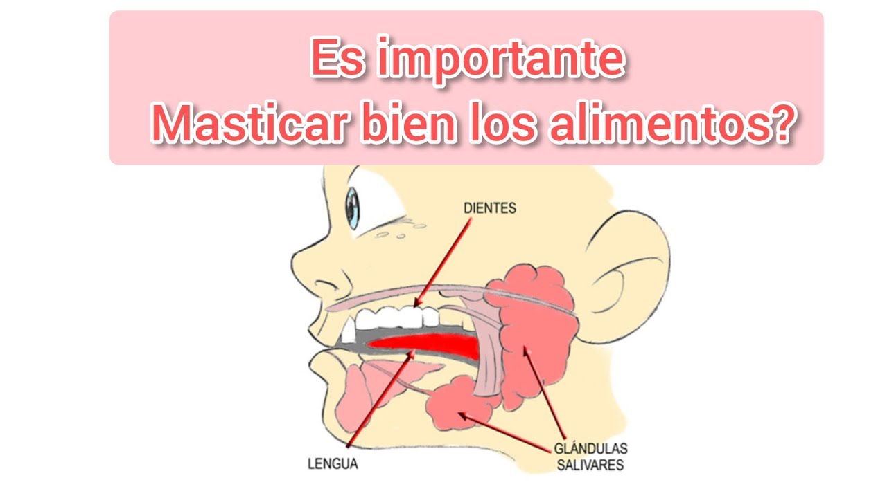 Masticar bien los alimentos, es importante? 💥 Ana la Nutri - YouTube