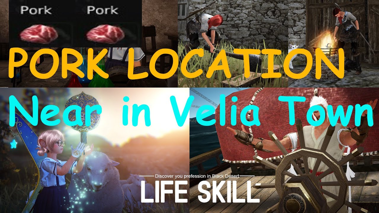 Pork location near in Velia Town Black Desert Online Sea 2020 l ...