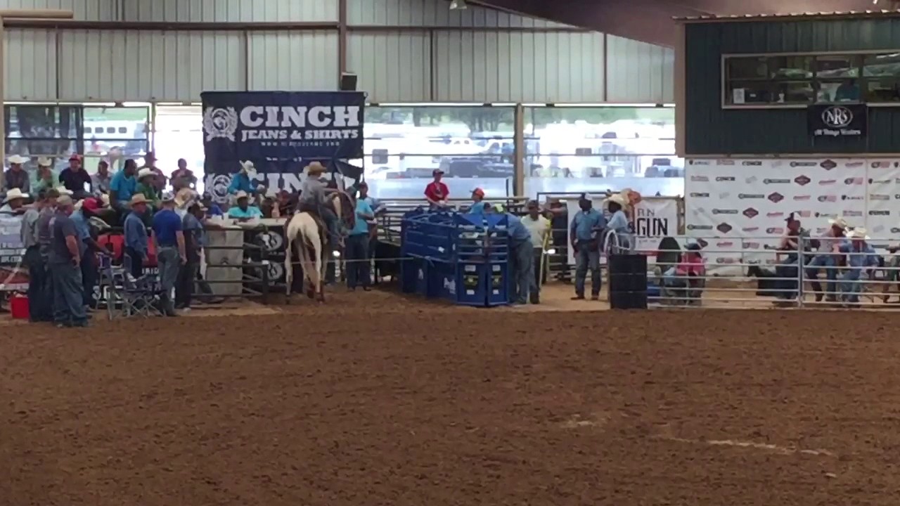 Carson - 2017 Roy Cooper Jr Calf Roping SHORT GO TOP 10 (12&under ...