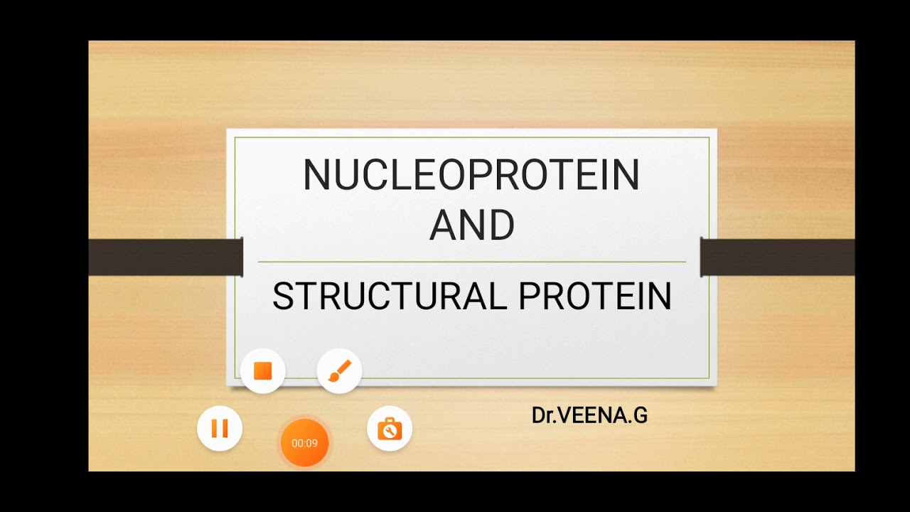 nucleoprotein and structural protein - YouTube