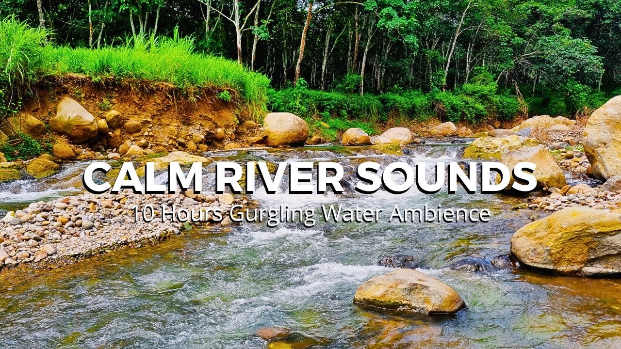 River sounds for Self healing therapy, Calming river stream sound - YouTube