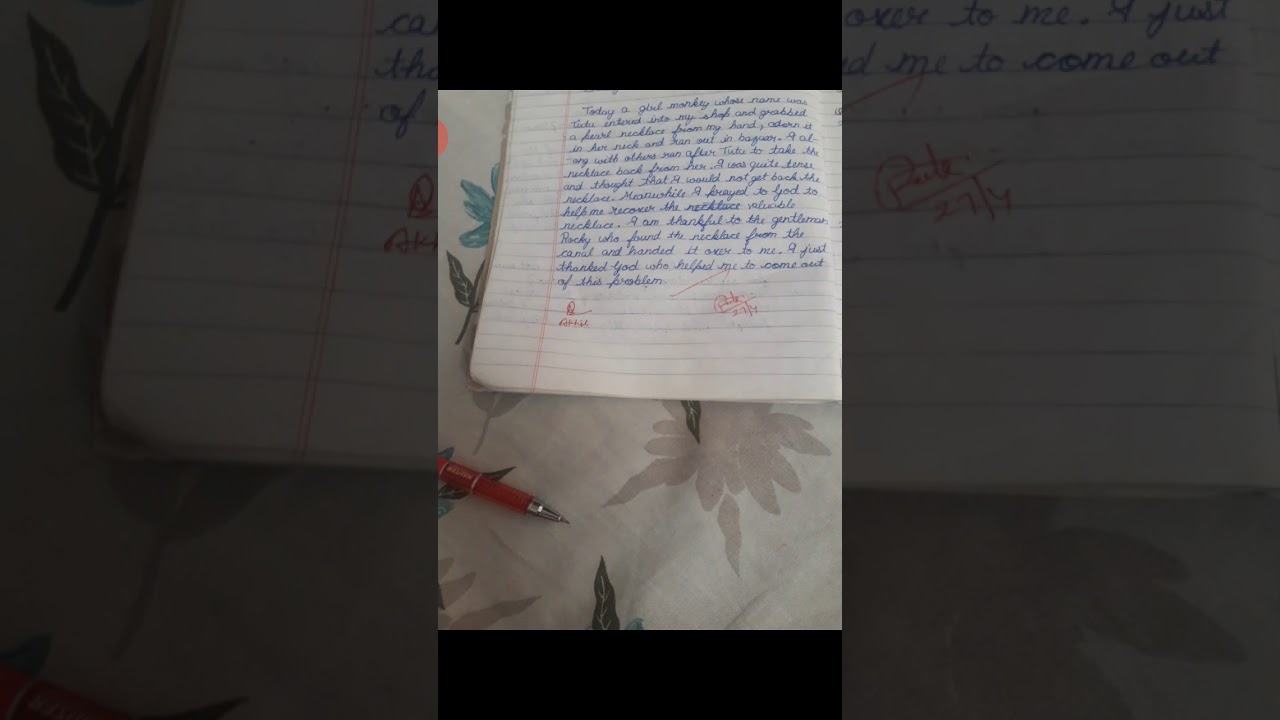 class_7th Subject_English Topic_Diary Entry - YouTube
