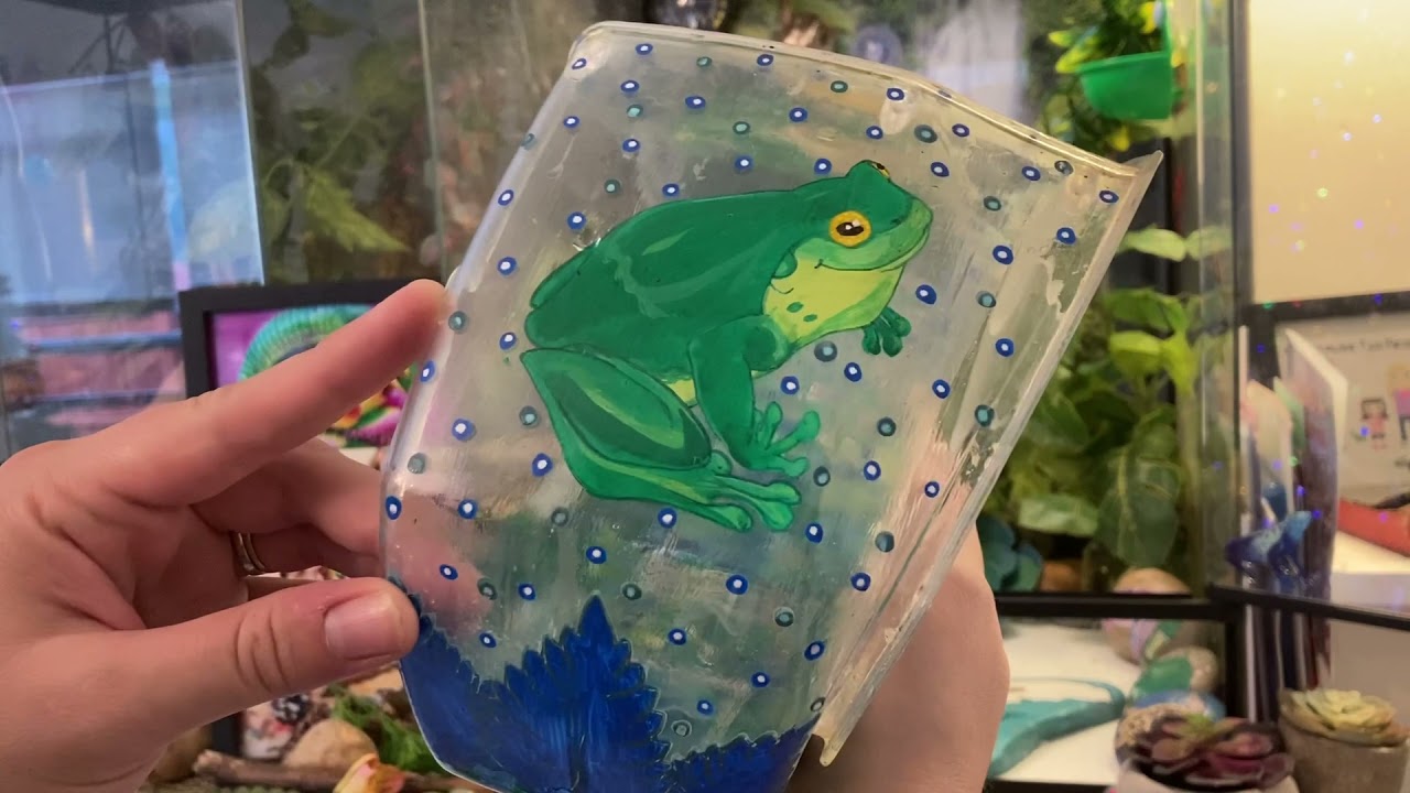 How to set up whites tree frog enclosure | what you need - YouTube