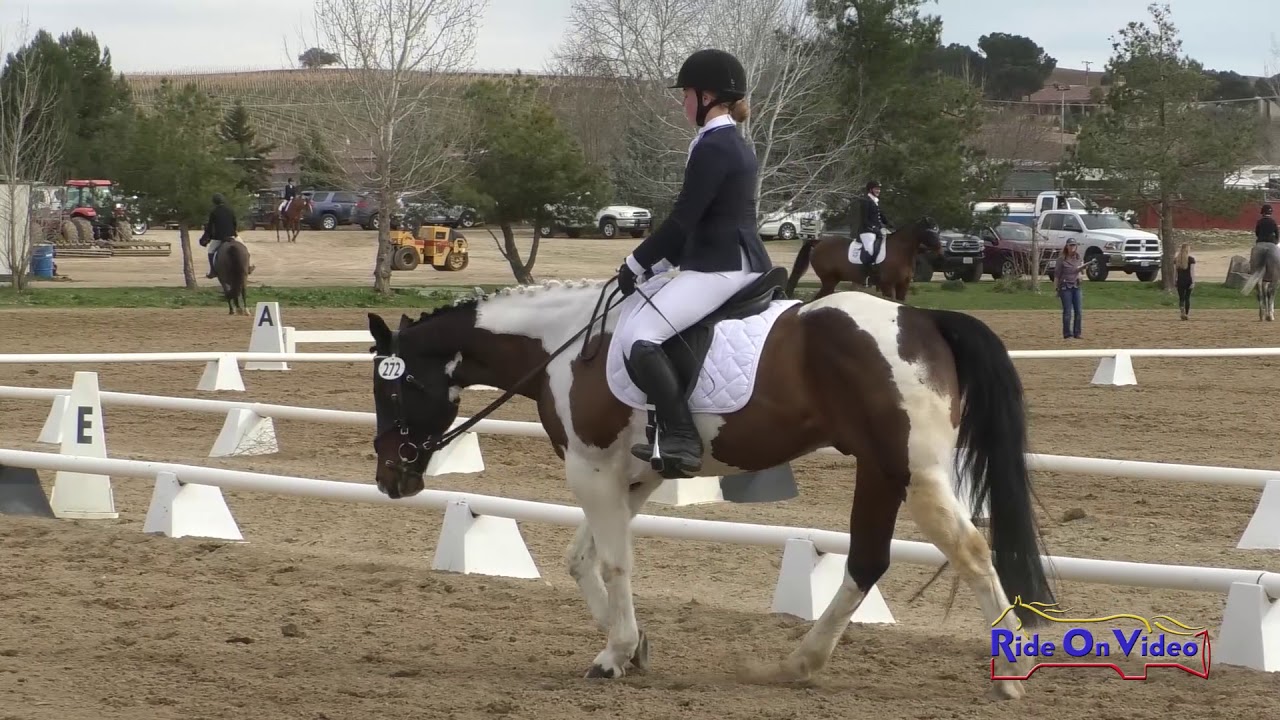 272D Jillian Mader on Paint By Numbers JR Beginner Novice Dressage Twin ...