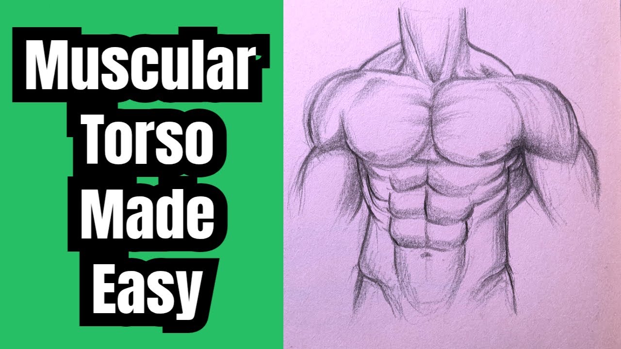 How to Draw a Muscular Torso | Step By Step Sketch Tutorial | How to ...