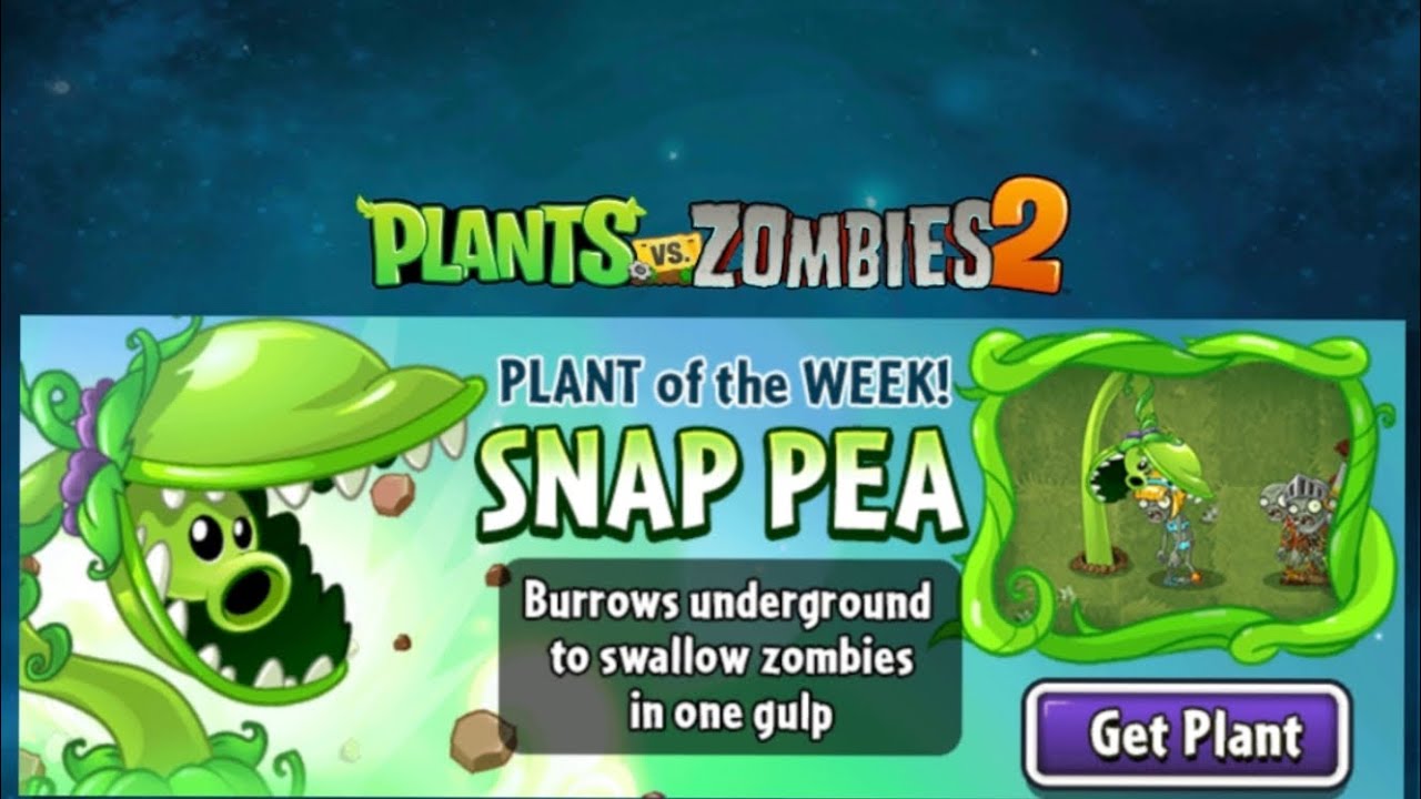 Snap Pea, 50 Premium Pinata Seed Packets - YouTube