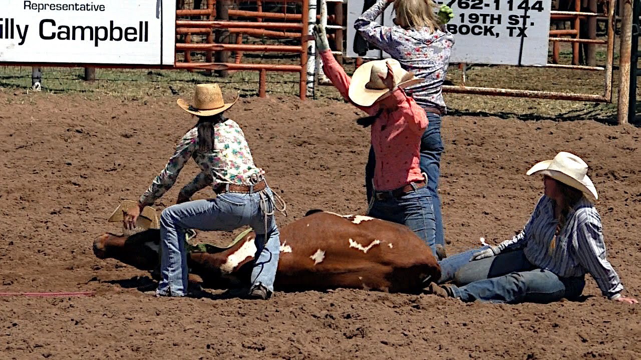 Team Mugging - 2019 WRRA Roaring Springs Rodeo - 2nd Go - YouTube