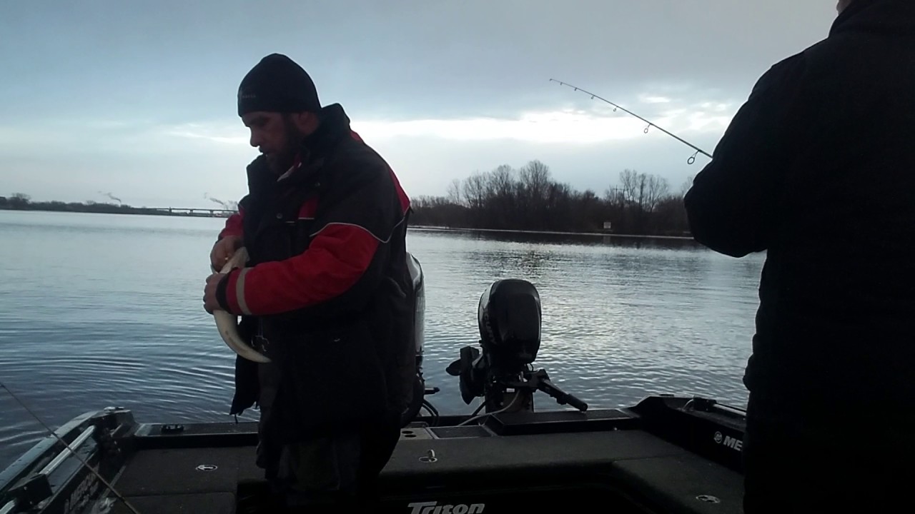 Fox River Walleye Run 2017a - YouTube