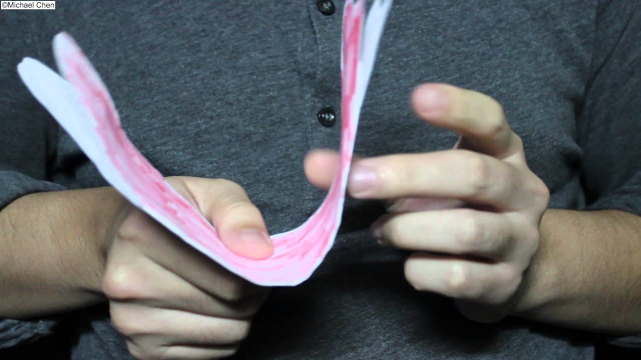 Turning in mouse embryo - YouTube