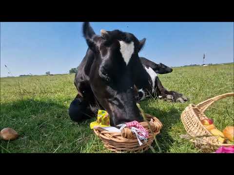 Happy MUHday, Manuela