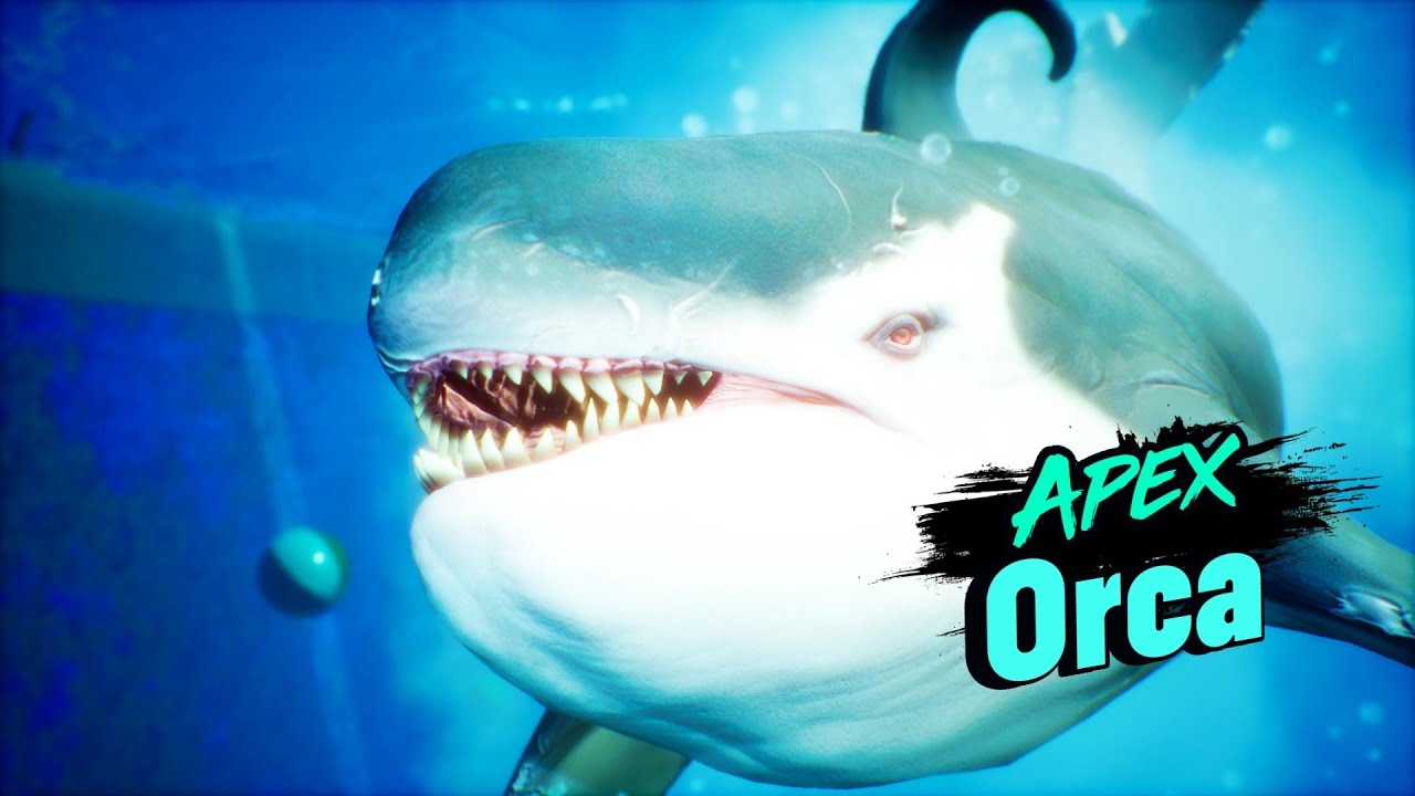 Maneater - vs. Apex Orca - YouTube