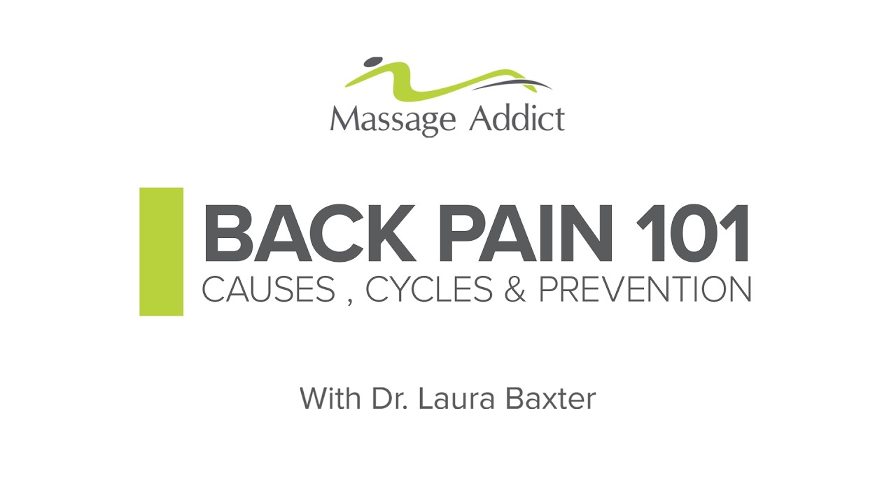 Back Pain 101: Causes, Cycles & Prevention - YouTube