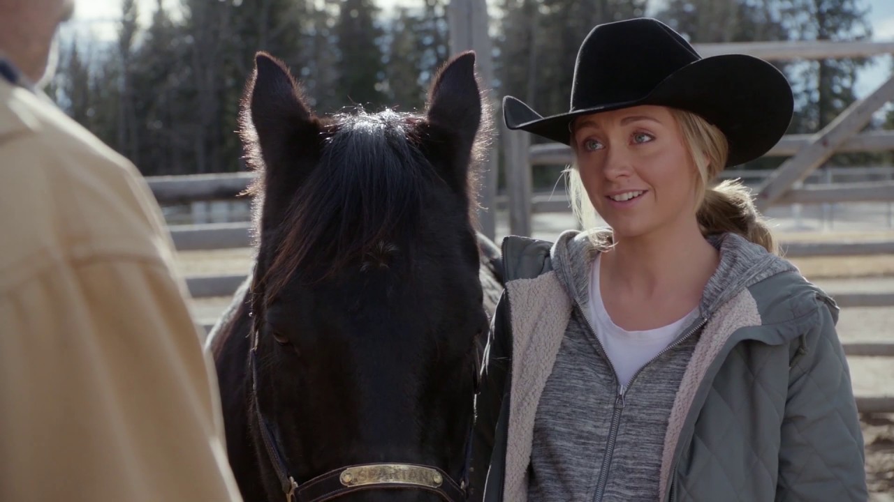 1015 First Look: Forest for the Trees - YouTube