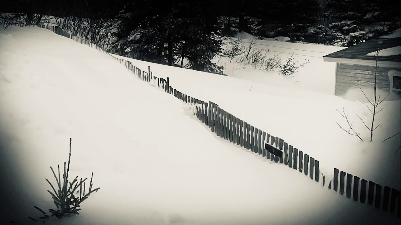 Newfoundland snow 2020 - YouTube